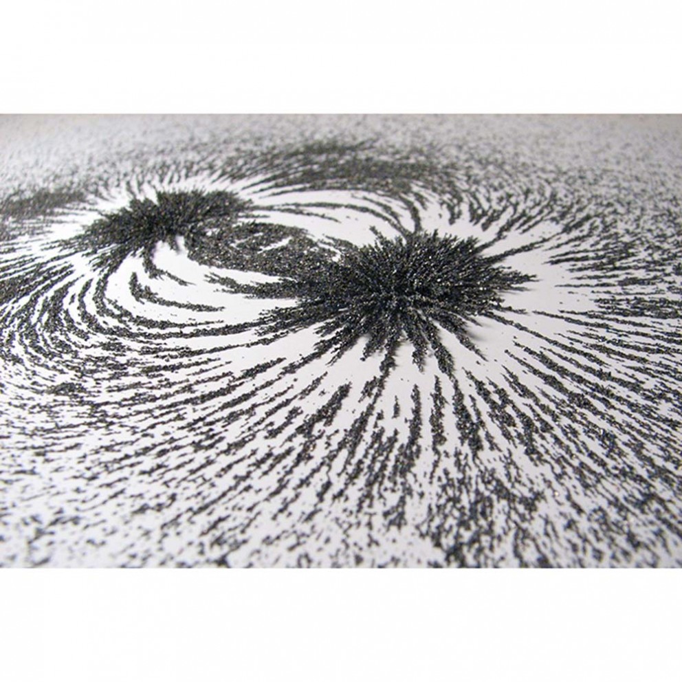 Magnetic Iron Powder - 100 Grams