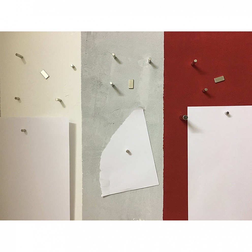 Magnetic Iron Powder - 100 Grams